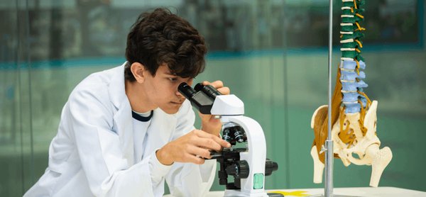 High School | Escola Sphere