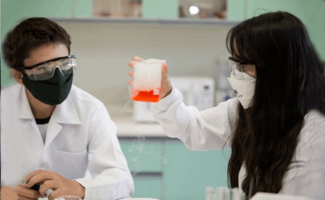 Elementary School | Escola Sphere